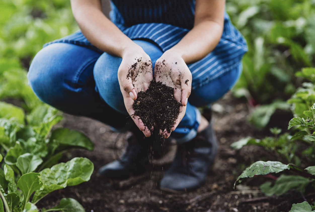 Soils of Toronto - toronto-name.com
